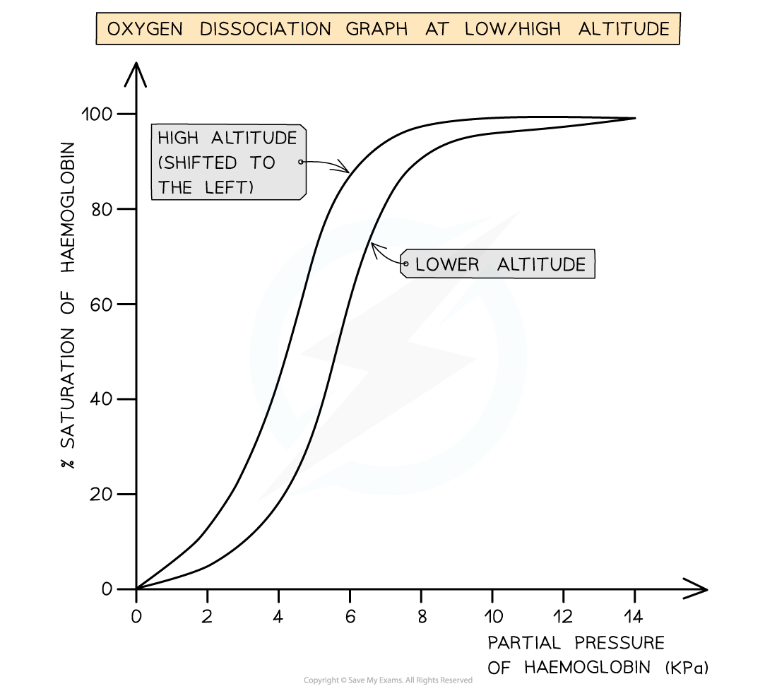 AQA A Level Biology 3 4 7 Animal Adaptations For Their Environment AQA A Level Biology 3 4 7 Animal Adaptations For Their Environment