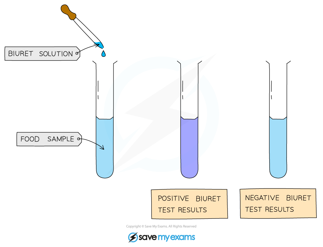 AQA A Level Biology 1 3 5 Biochemical Tests Proteins AQA A Level Biology 1 3 5 Biochemical Tests Proteins